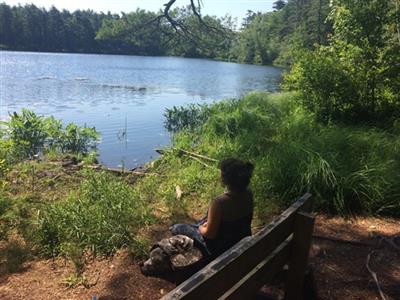 Windham Parks and Recreation: Summer Fitness Challenge - "The Park ...